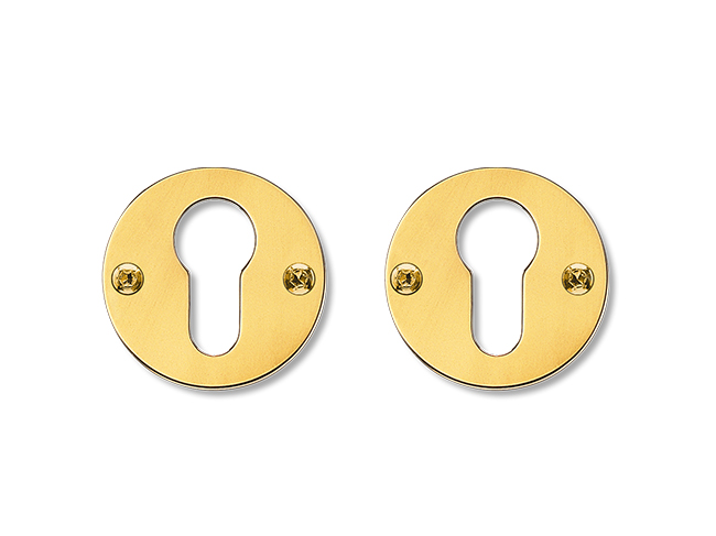 P3155.90 - Randi